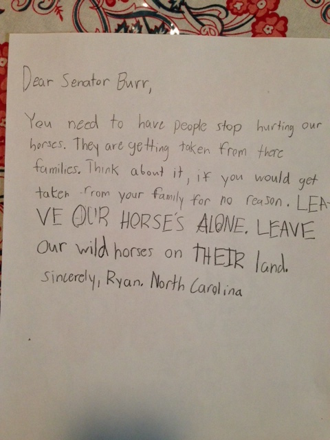 Letters From a 5th Grade Classroom; the voices for wild horses – WHE Kids